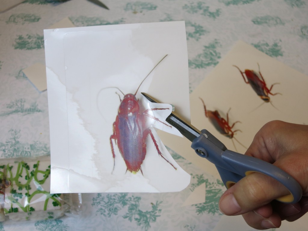 Easy Bug Prank You Can Make at Home - Morena's Corner